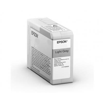 Epson Pro-10 Light Gray Ink for P906 - T47A9 | Diamonds Camera