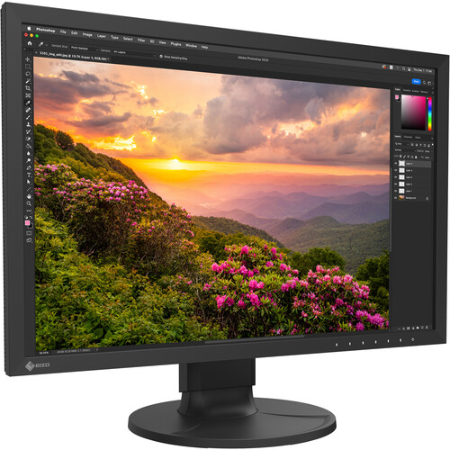Eizo ColorEdge CS2400S 24 inch LED Monitor | Diamonds Camera