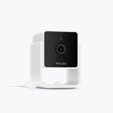 Petcube Petcam White | Diamonds Camera